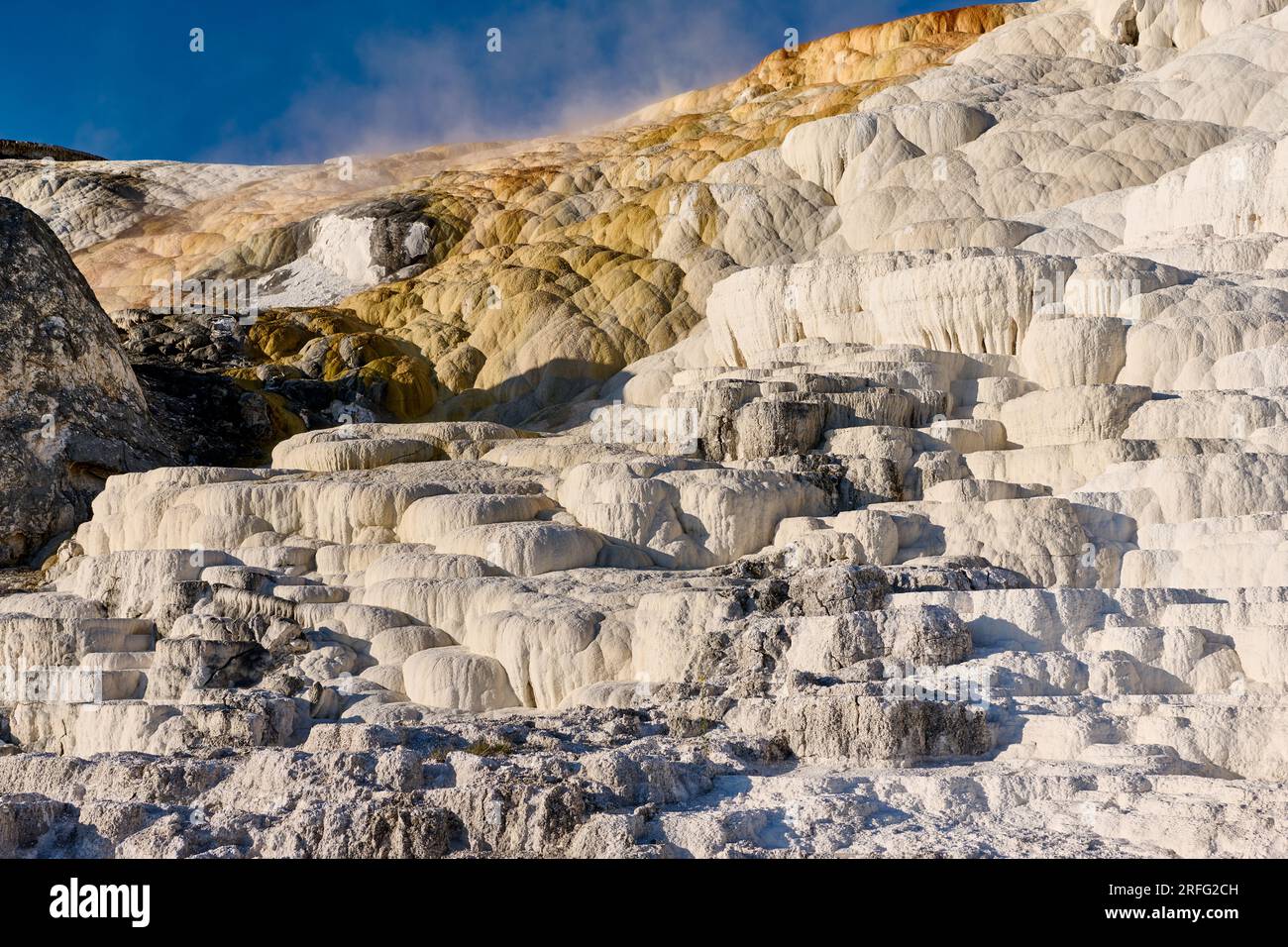 Palette Spring, Mammoth Hot Springs, Yellowstone National Park, Wyoming ...