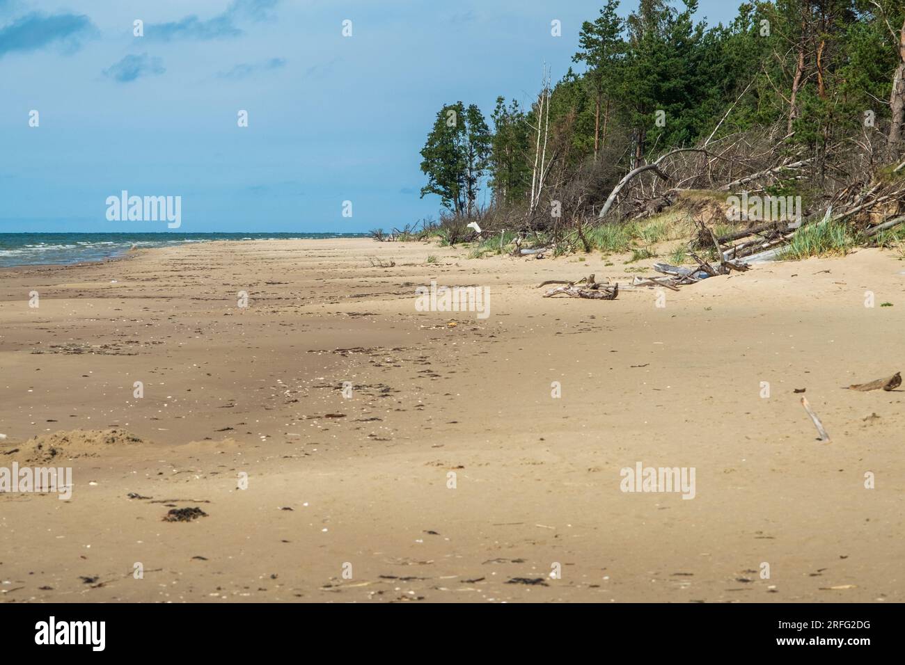 The sandy shore of the Baltic Sea. Wide coastal area and dunes Stock ...