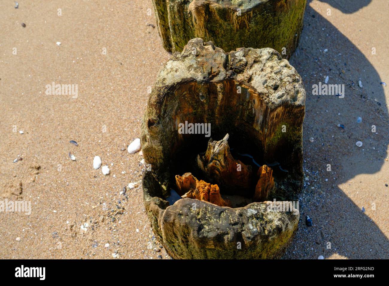 Rotten wooden pole hi-res stock photography and images - Alamy