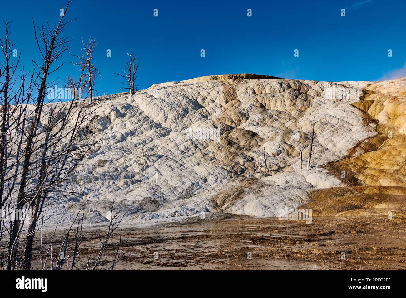 Palette Spring, Mammoth Hot Springs, Yellowstone National Park, Wyoming ...