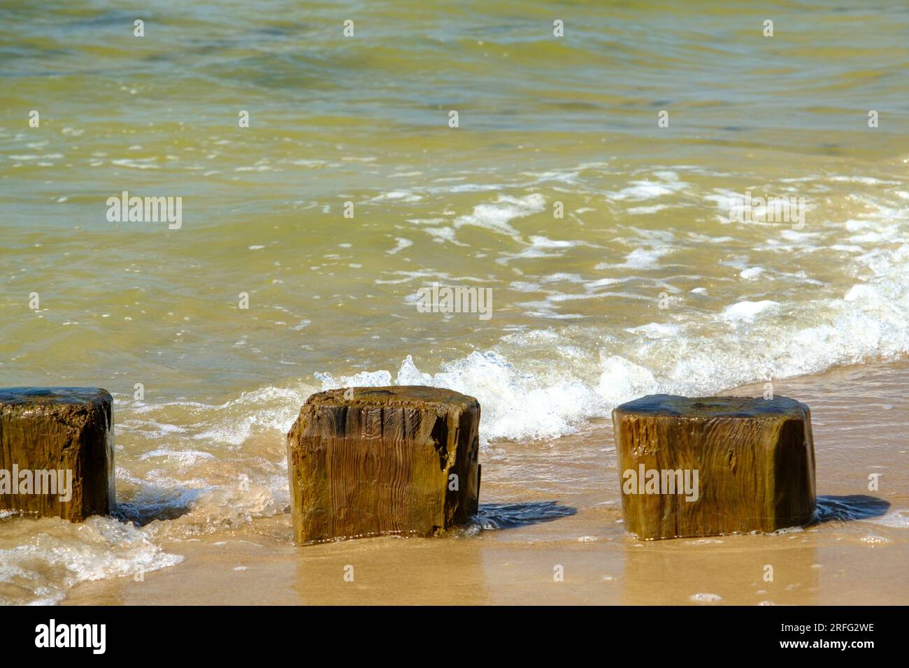 Wooden wave-breaking poles on a sunny day, a row of grooves on the ...