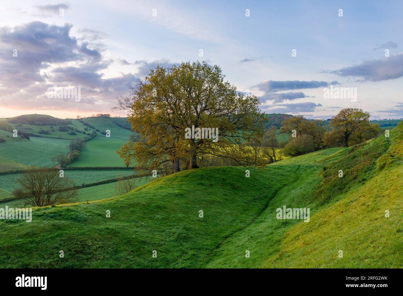 The ramparts of Cadbury Castle, a bronze and iron age hillfort known ...