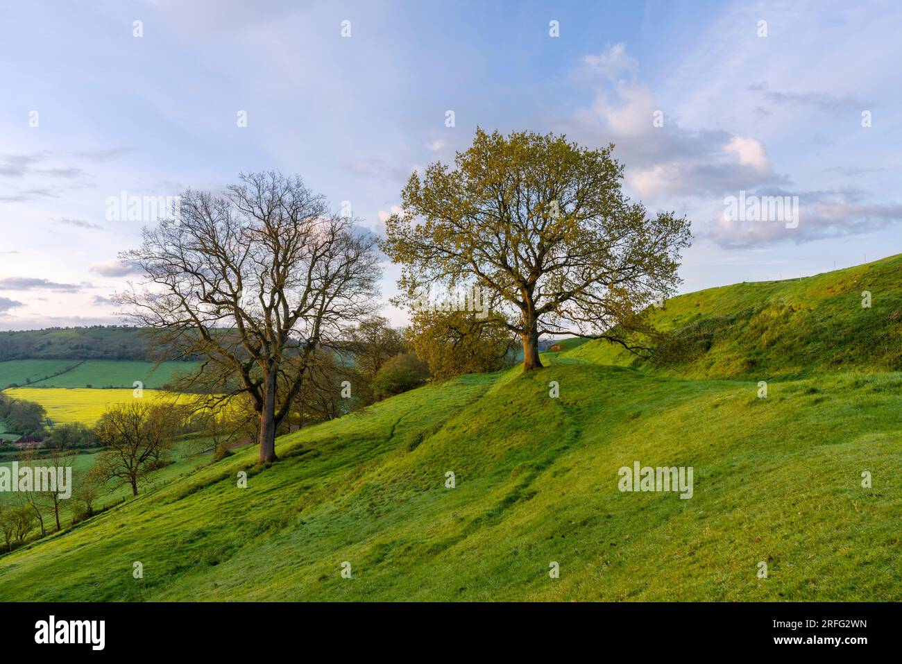 The ramparts of Cadbury Castle, a bronze and iron age hillfort known ...
