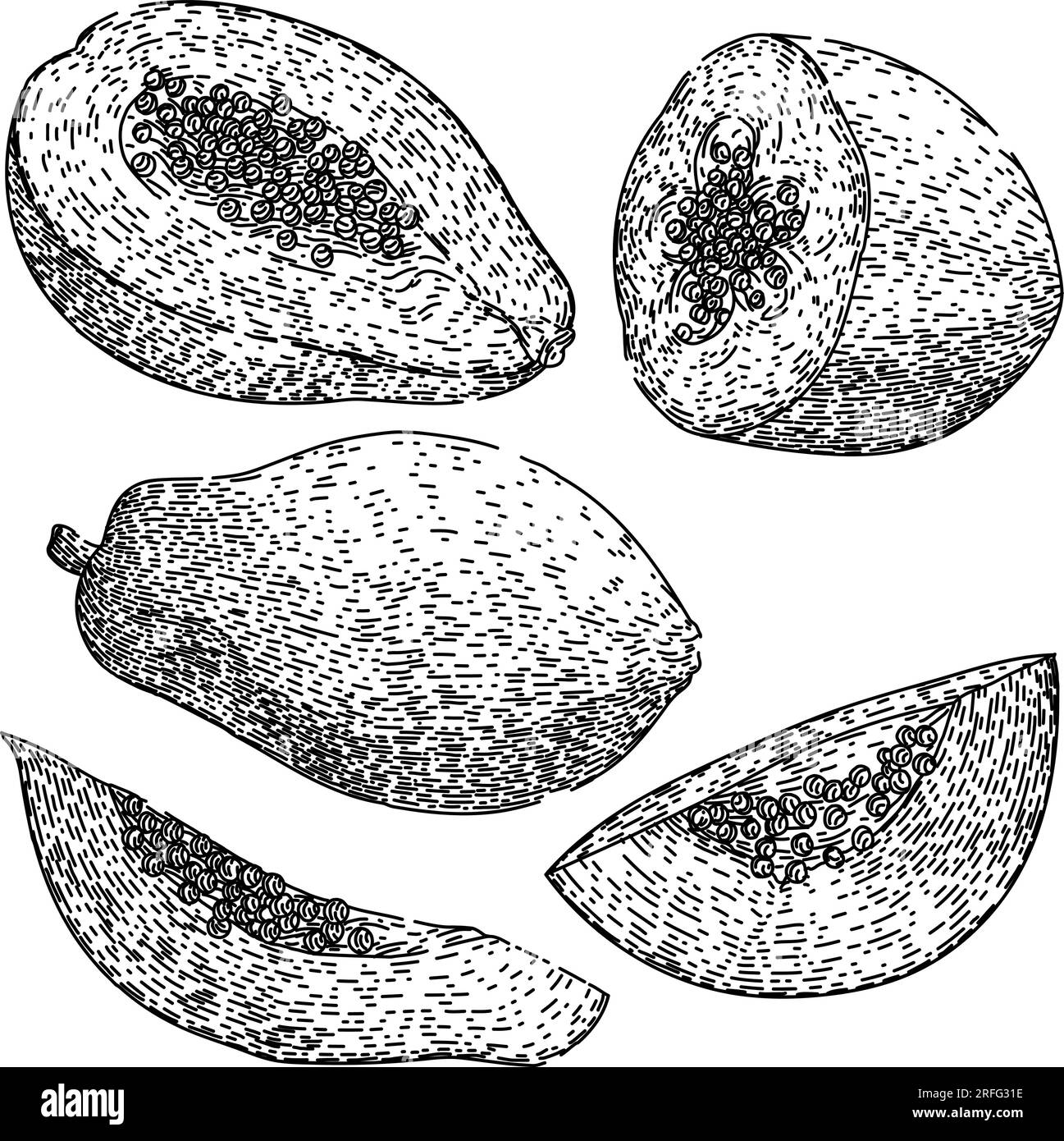 papaya fruit set sketch hand drawn vector Stock Vector Image & Art - Alamy