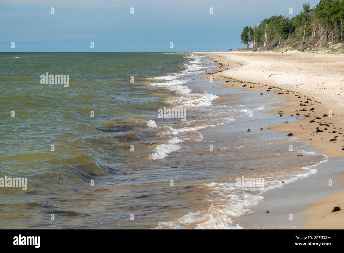 The sandy shore of the Baltic Sea. Wide coastal area and dunes Stock ...