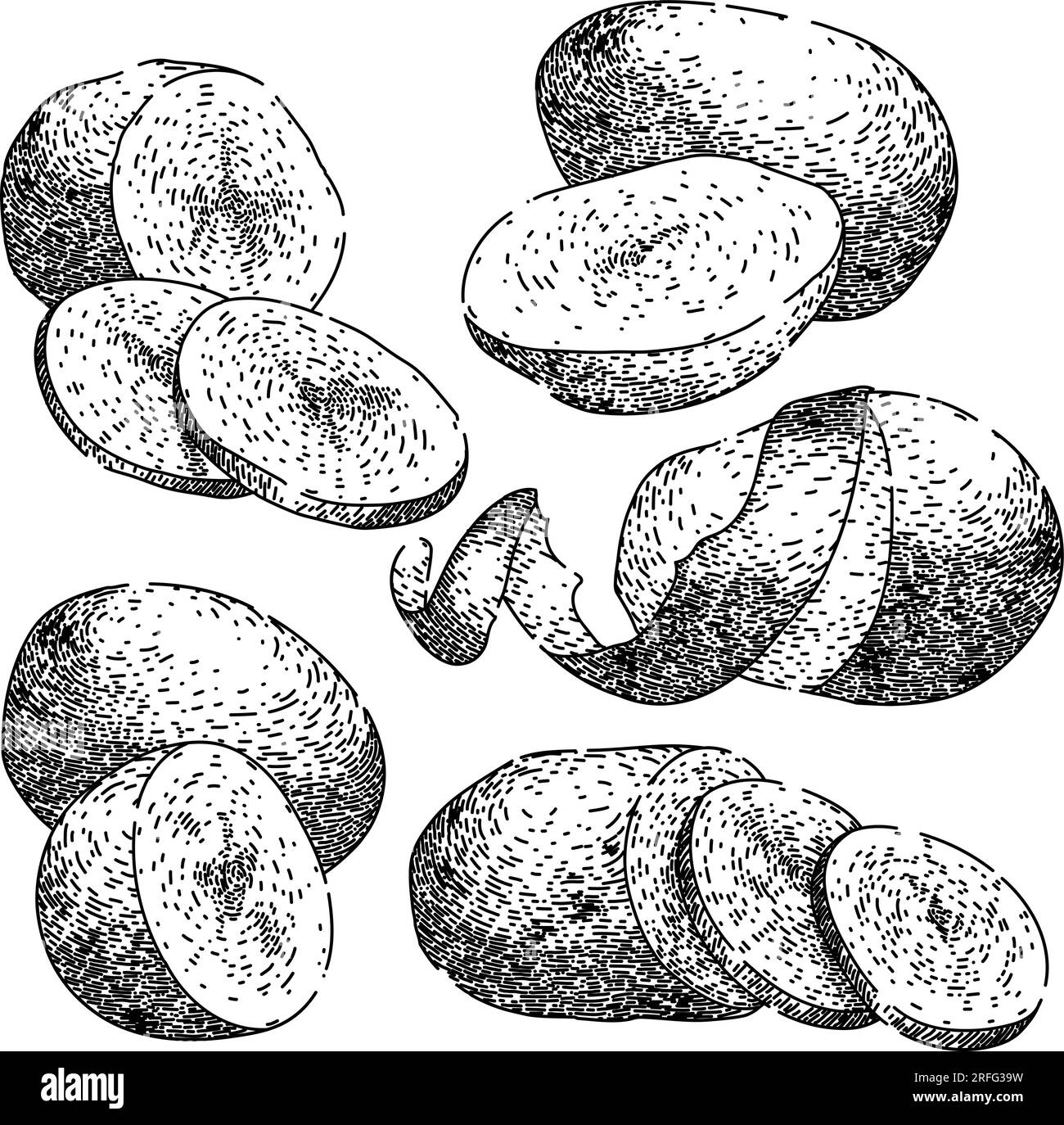 potato fresh set sketch hand drawn vector Stock Vector Image & Art - Alamy