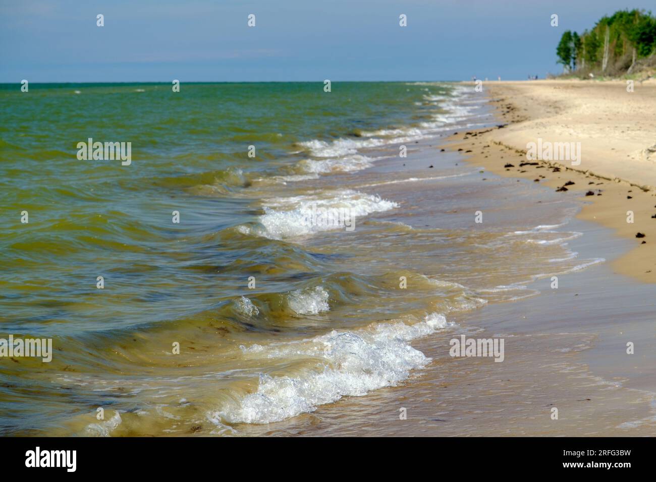 The sandy shore of the Baltic Sea. Wide coastal area and dunes Stock ...