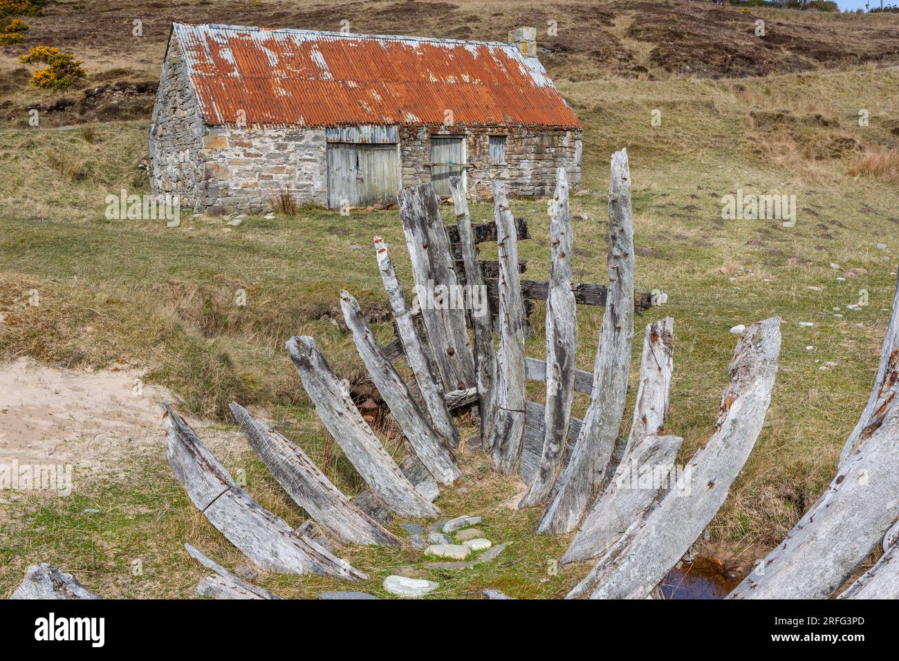 The skeleton of a ruined fishing boat on the beach in front of an old ...