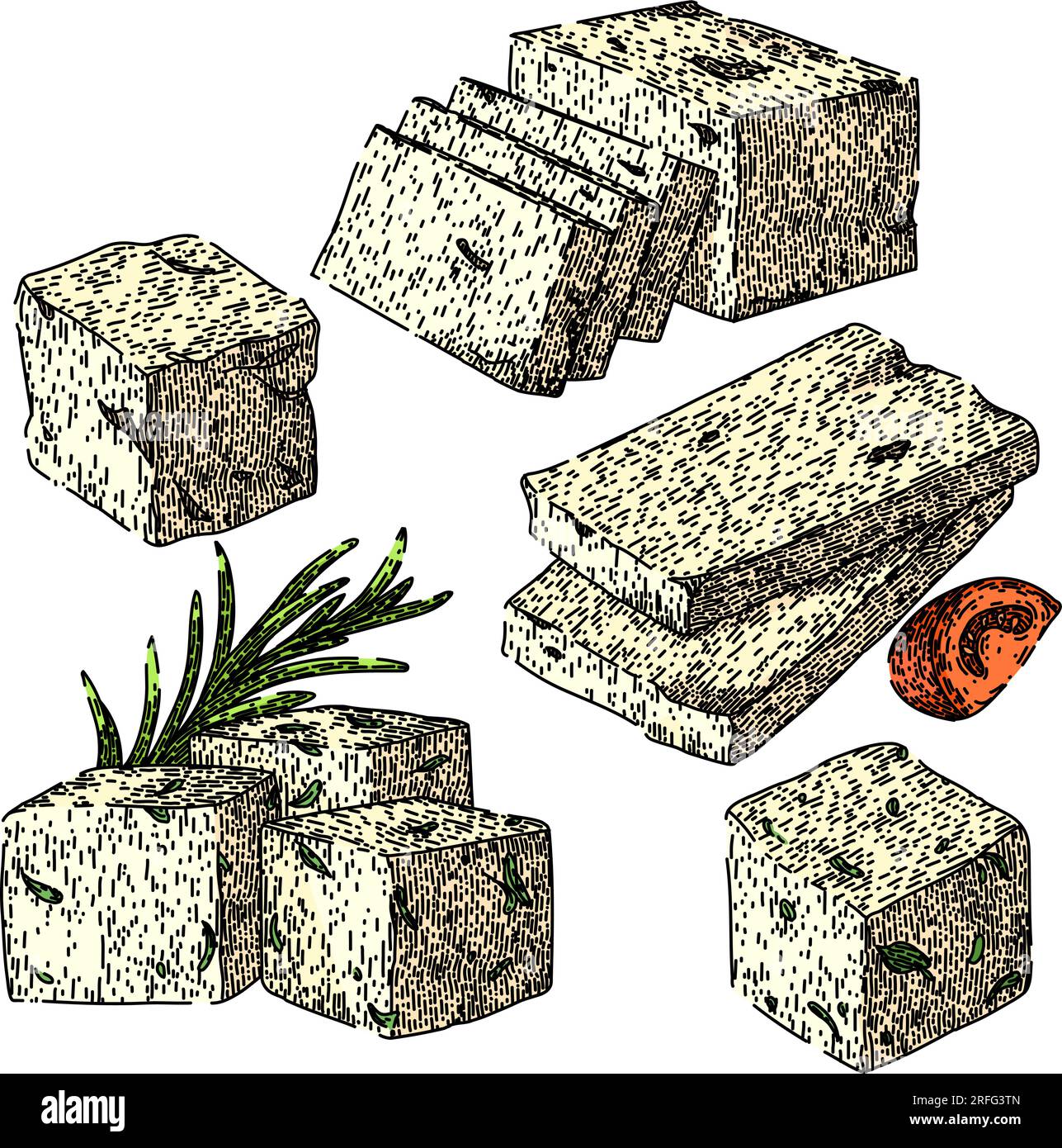 feta cheese set sketch hand drawn vector Stock Vector Image & Art - Alamy