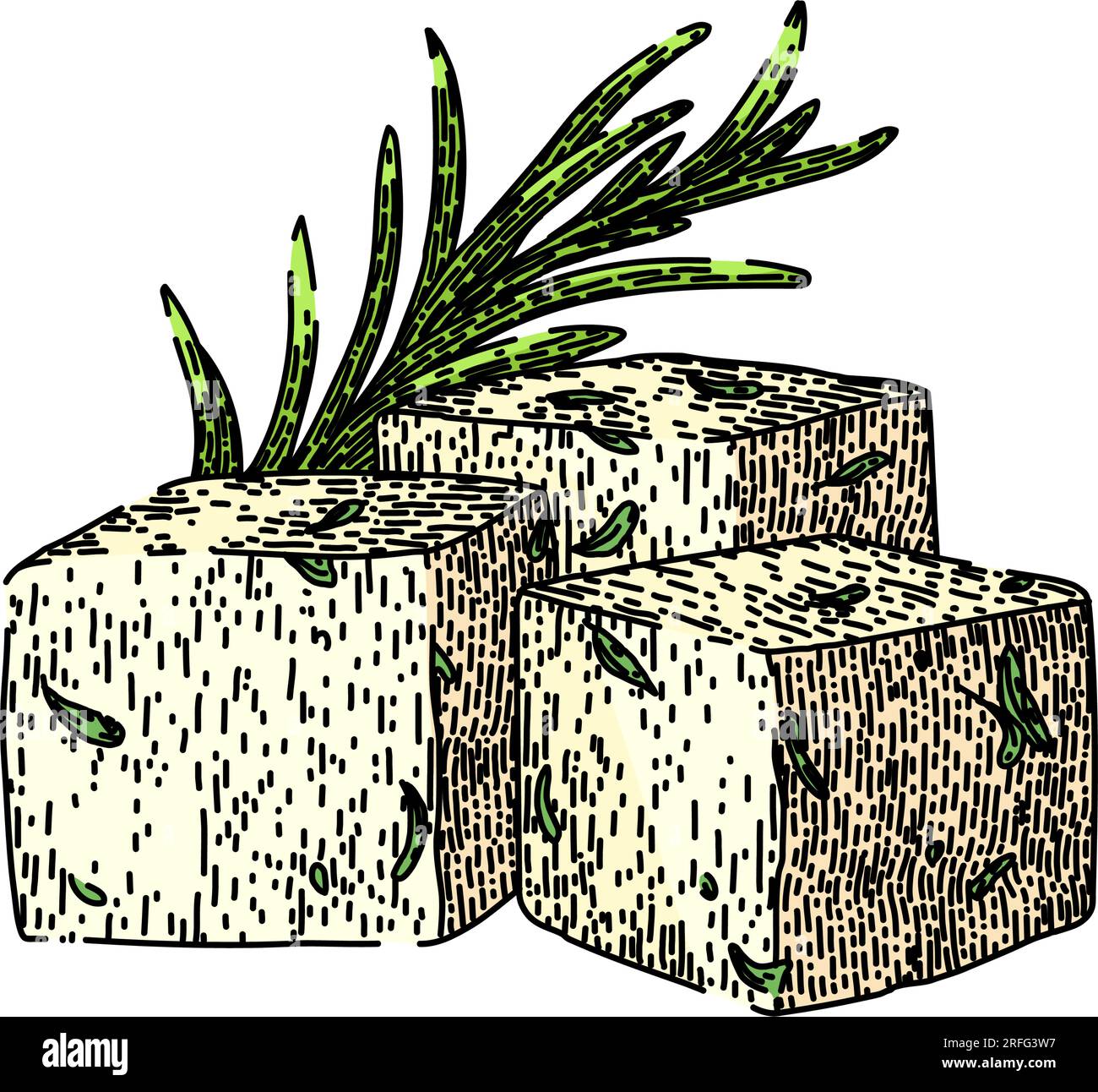 appetizer feta cheese sketch hand drawn vector Stock Vector Image & Art ...