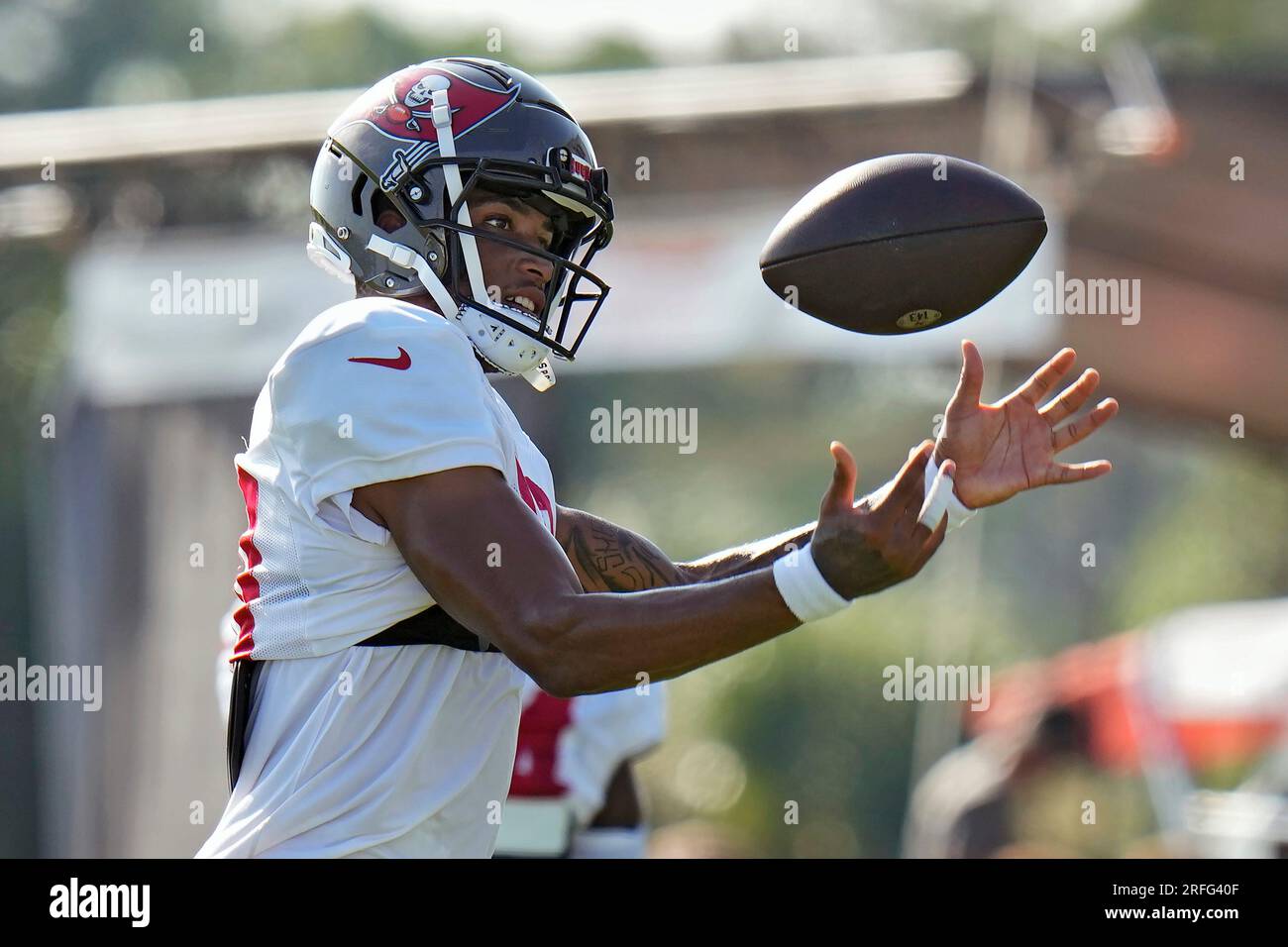 Tampa Bay Buccaneers wide receiver Trey Palmer (10) pulls in a ...