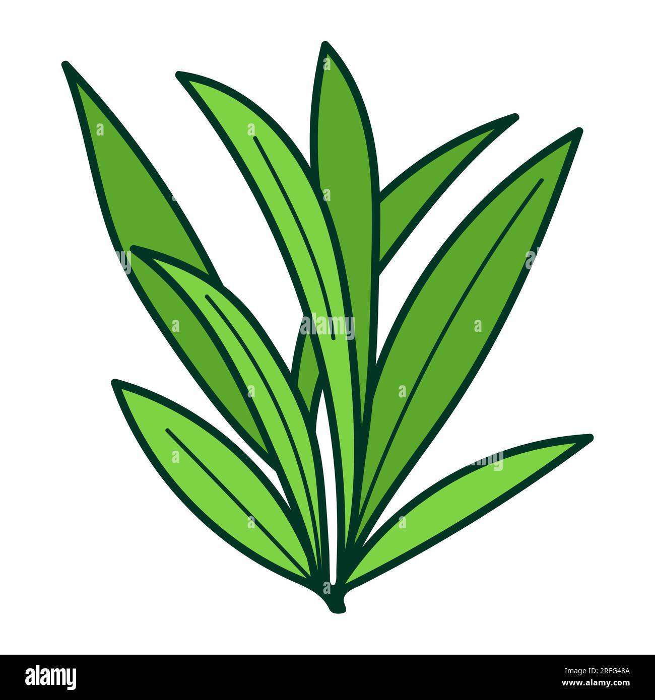 Illustration of green bush.Cartoon of decoration plants.Vector ...