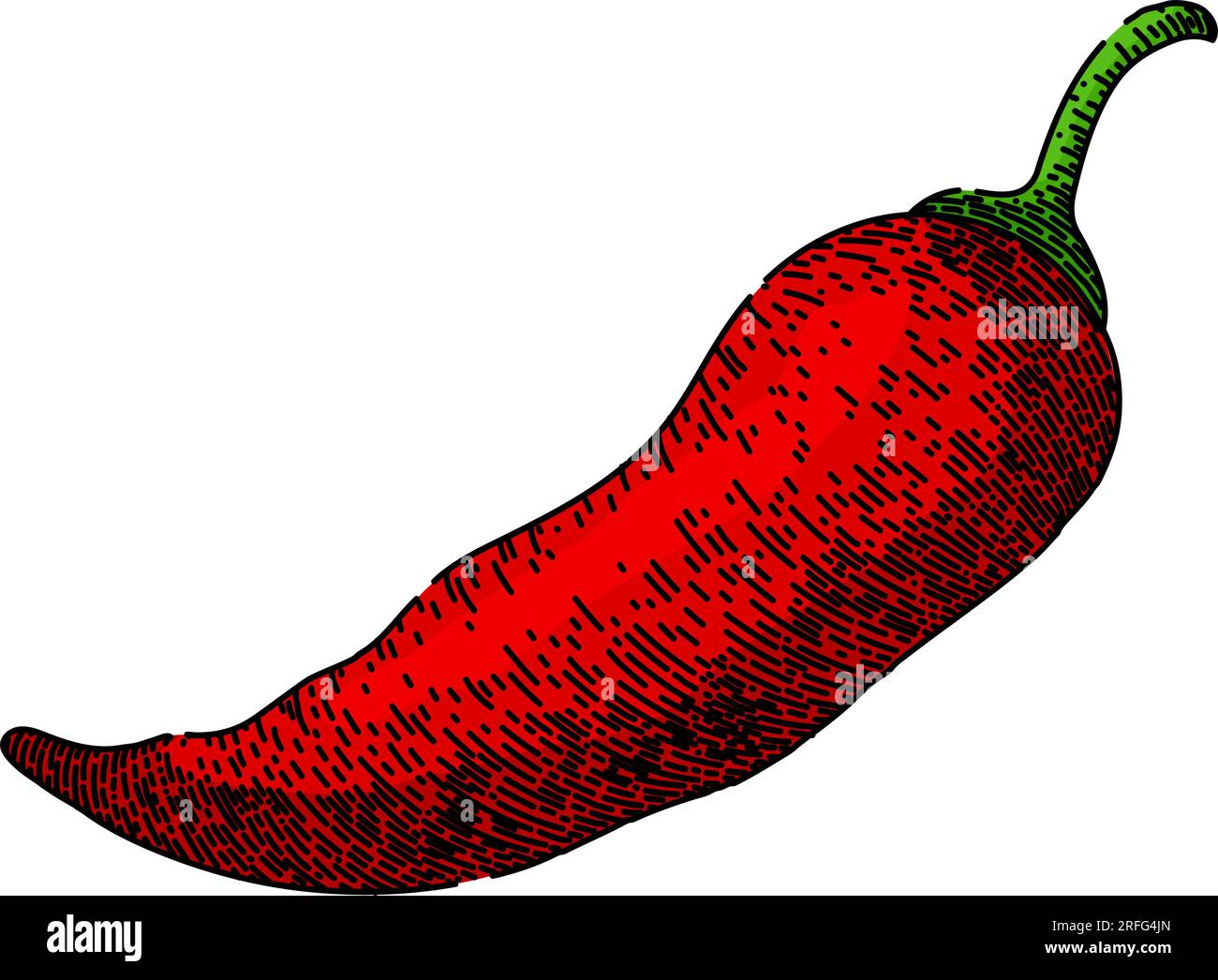 hot chili pepper sketch hand drawn vector Stock Vector Image & Art - Alamy