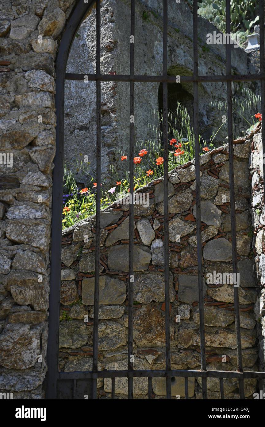 Traditional handcrafted wrought iron entrance gate at the medieval ...