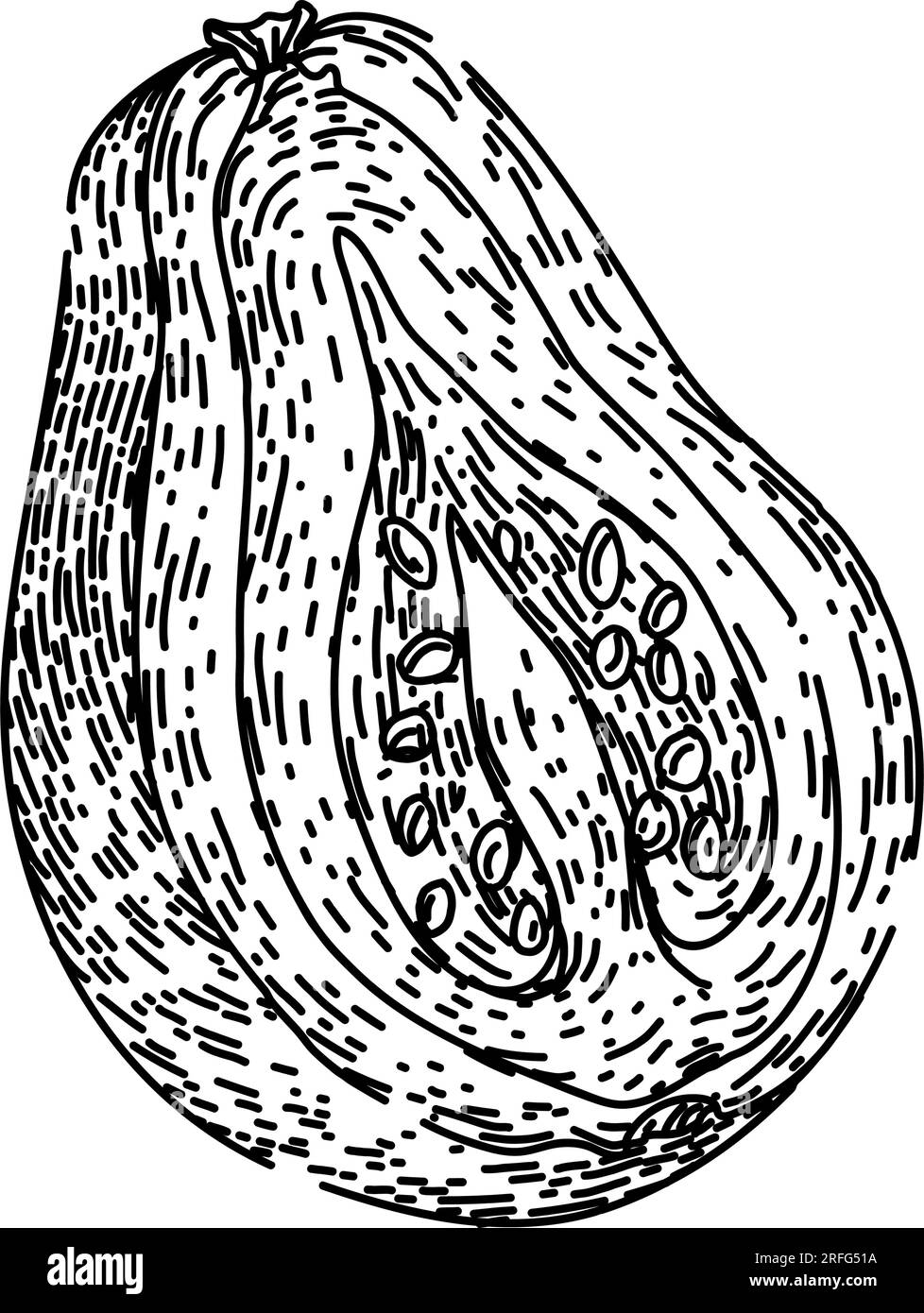 half guava fruit sketch hand drawn vector Stock Vector Image & Art - Alamy
