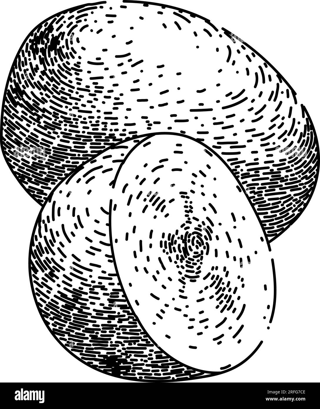 organic potato fresh sketch hand drawn vector Stock Vector Image & Art ...