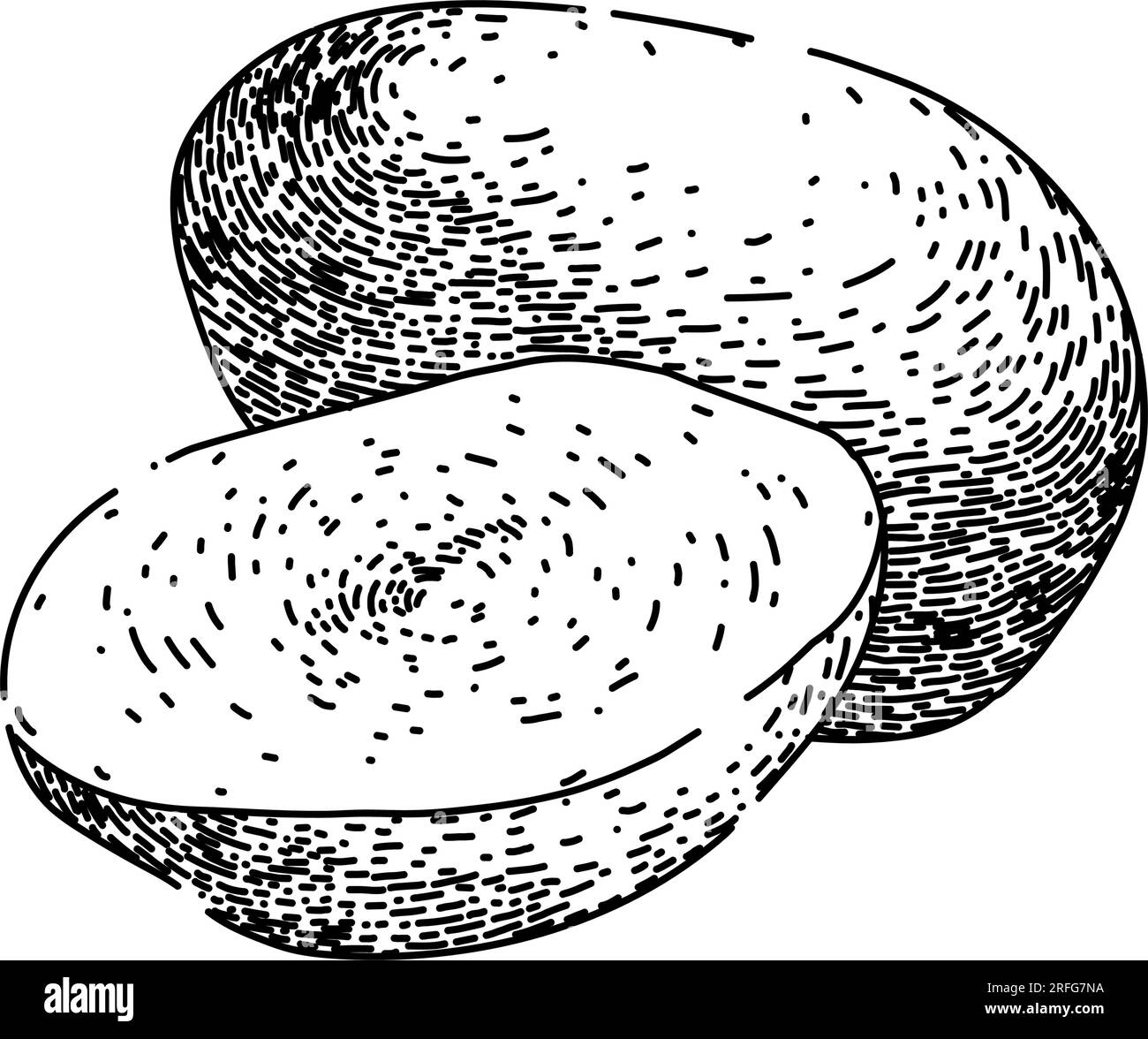 harvest potato fresh sketch hand drawn vector Stock Vector Image & Art ...