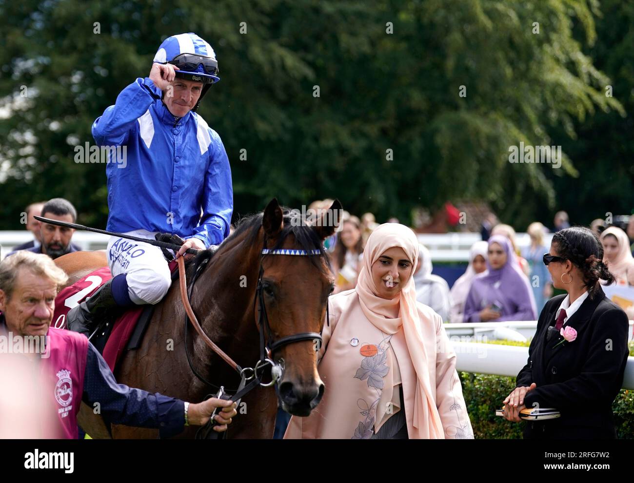 Al husn horse hi-res stock photography and images - Alamy