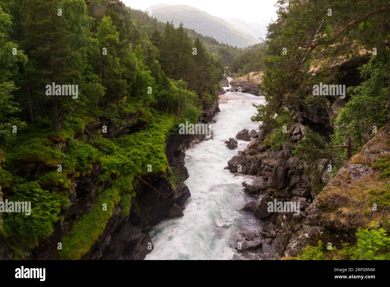 View down Rauma River in Romsdalen valley Rauma Municipality Møre og ...