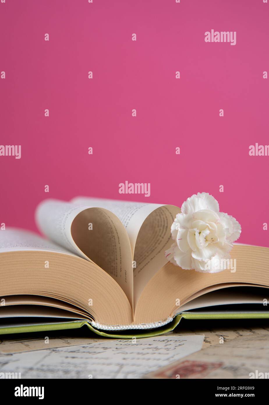 White carnation flower laying on opened book with heart shaped book ...