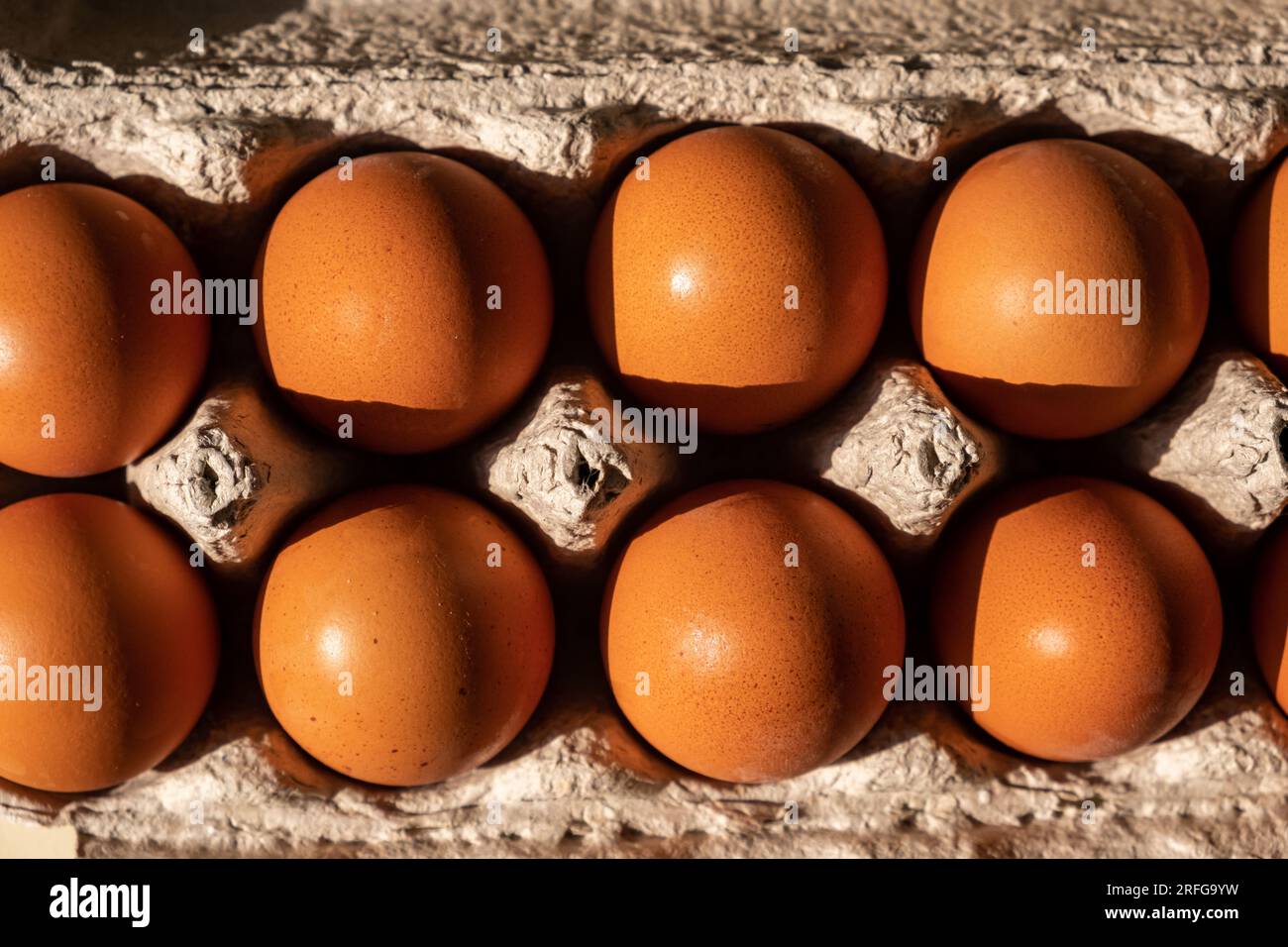 A few brown eggs among the empty cells of a large cardboard bag Stock ...