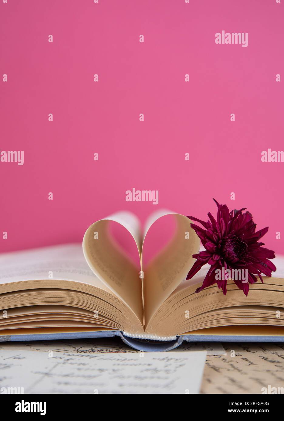 Purple gerbera flower laying on opened book with heart shaped book ...