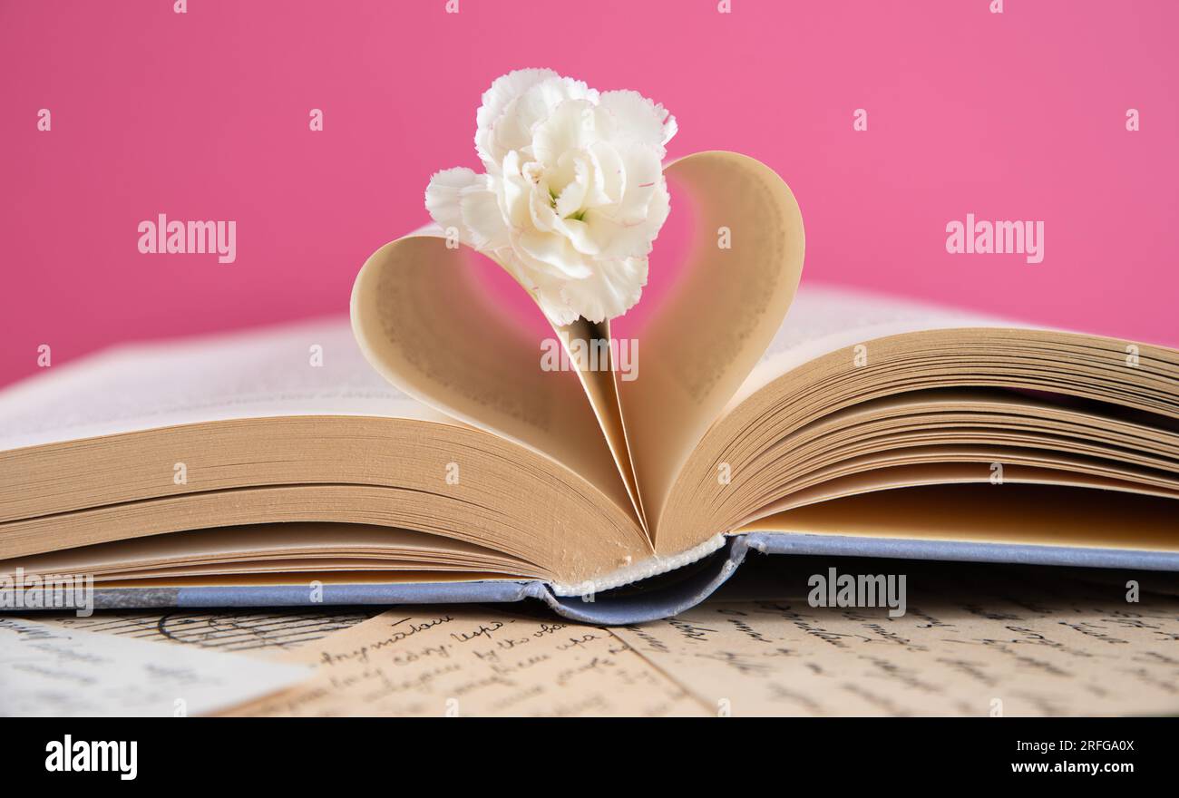 White carnation flower laying on opened book with heart shaped book ...
