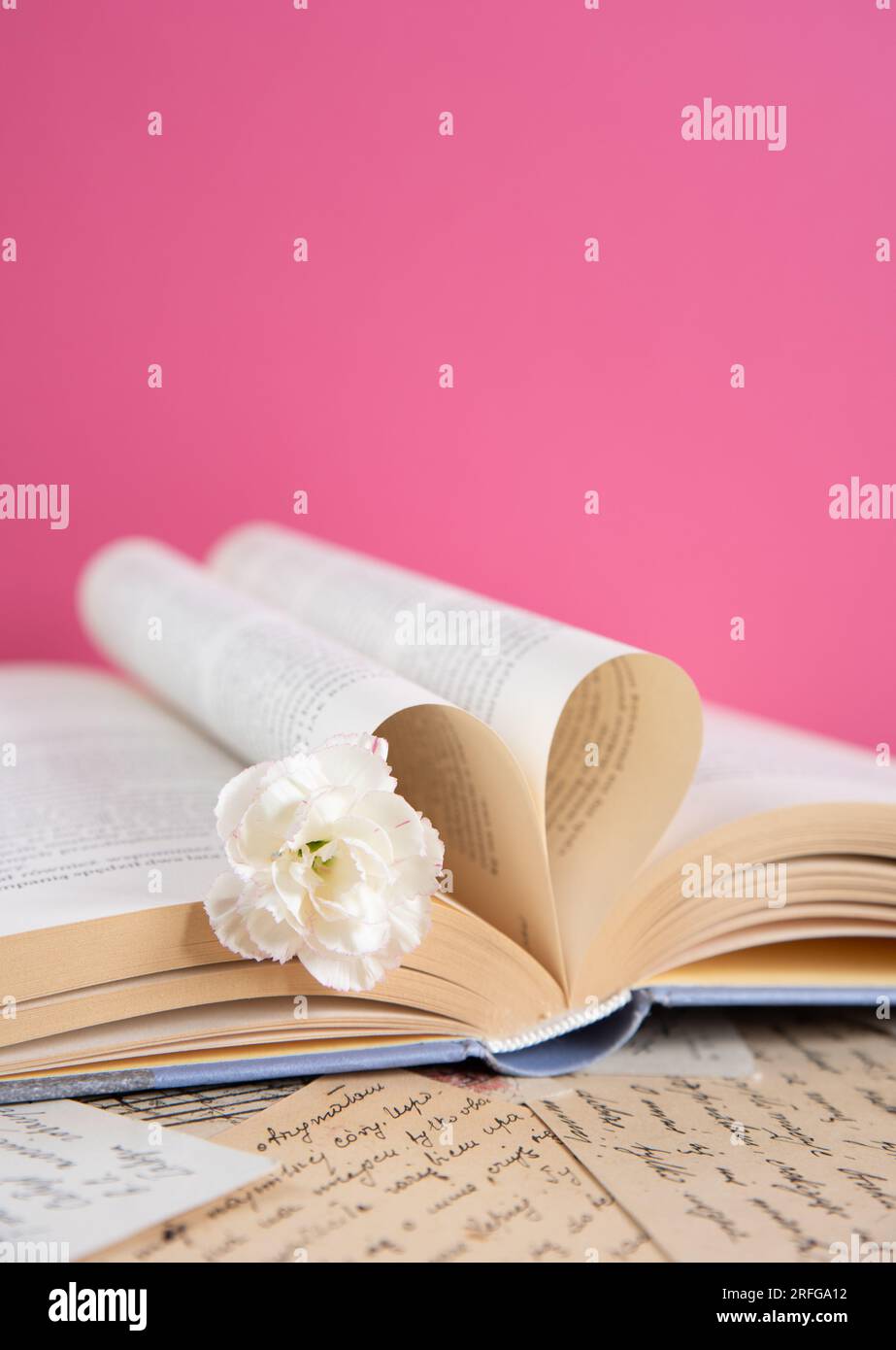 White carnation flower laying on opened book with heart shaped book ...