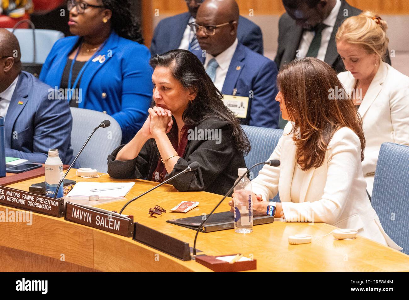New York, USA. 03rd Aug, 2023. Reena Ghelani, United Nations Famine ...