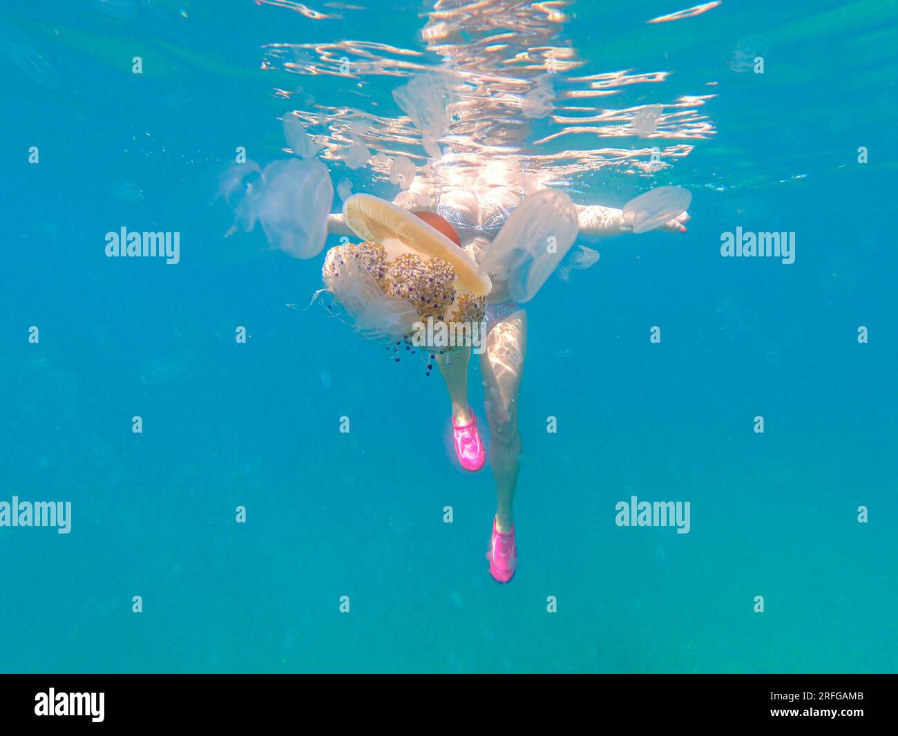Swimmer underwater touch hi-res stock photography and images - Alamy
