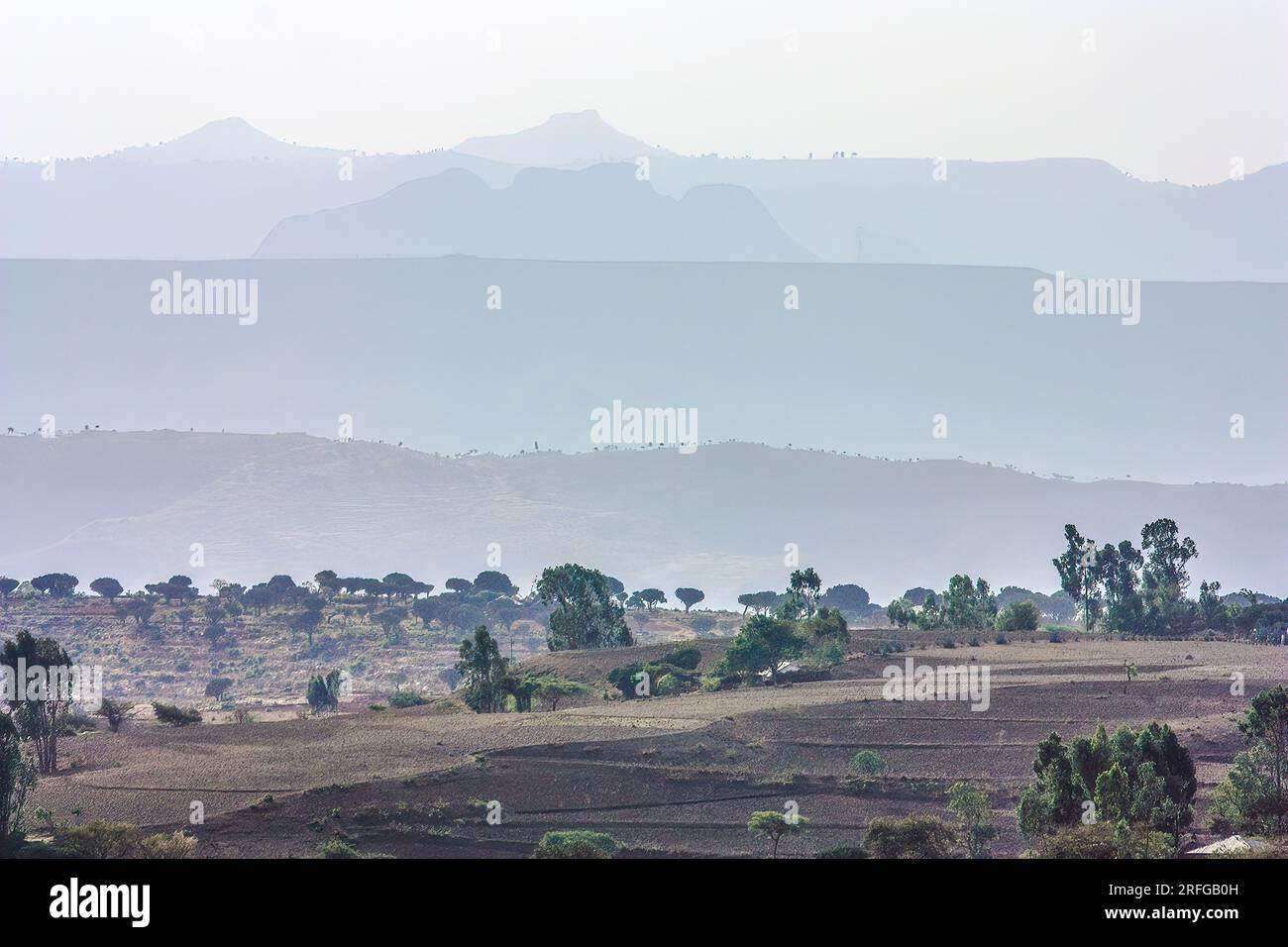 Adwa victory hi-res stock photography and images - Alamy