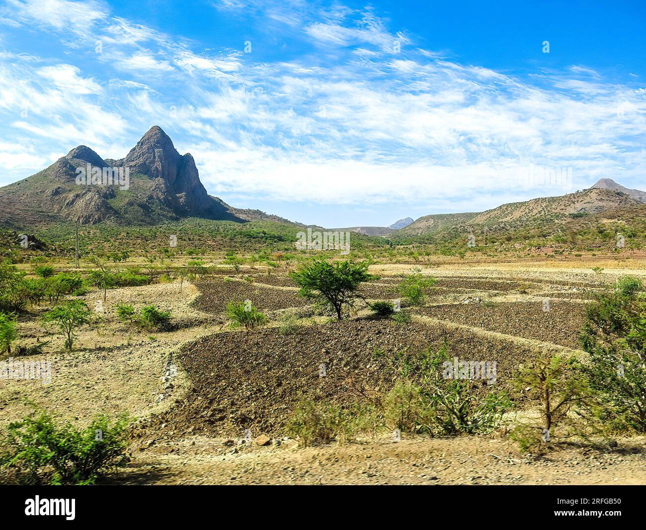 Battle of adwa hi-res stock photography and images - Alamy