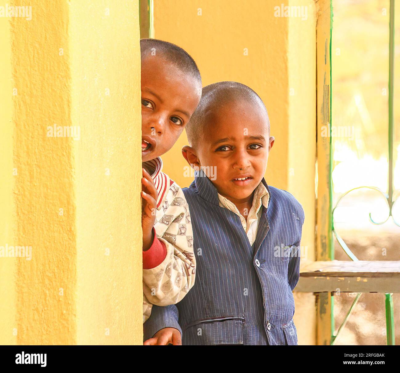 Four curious eyes Stock Photo - Alamy