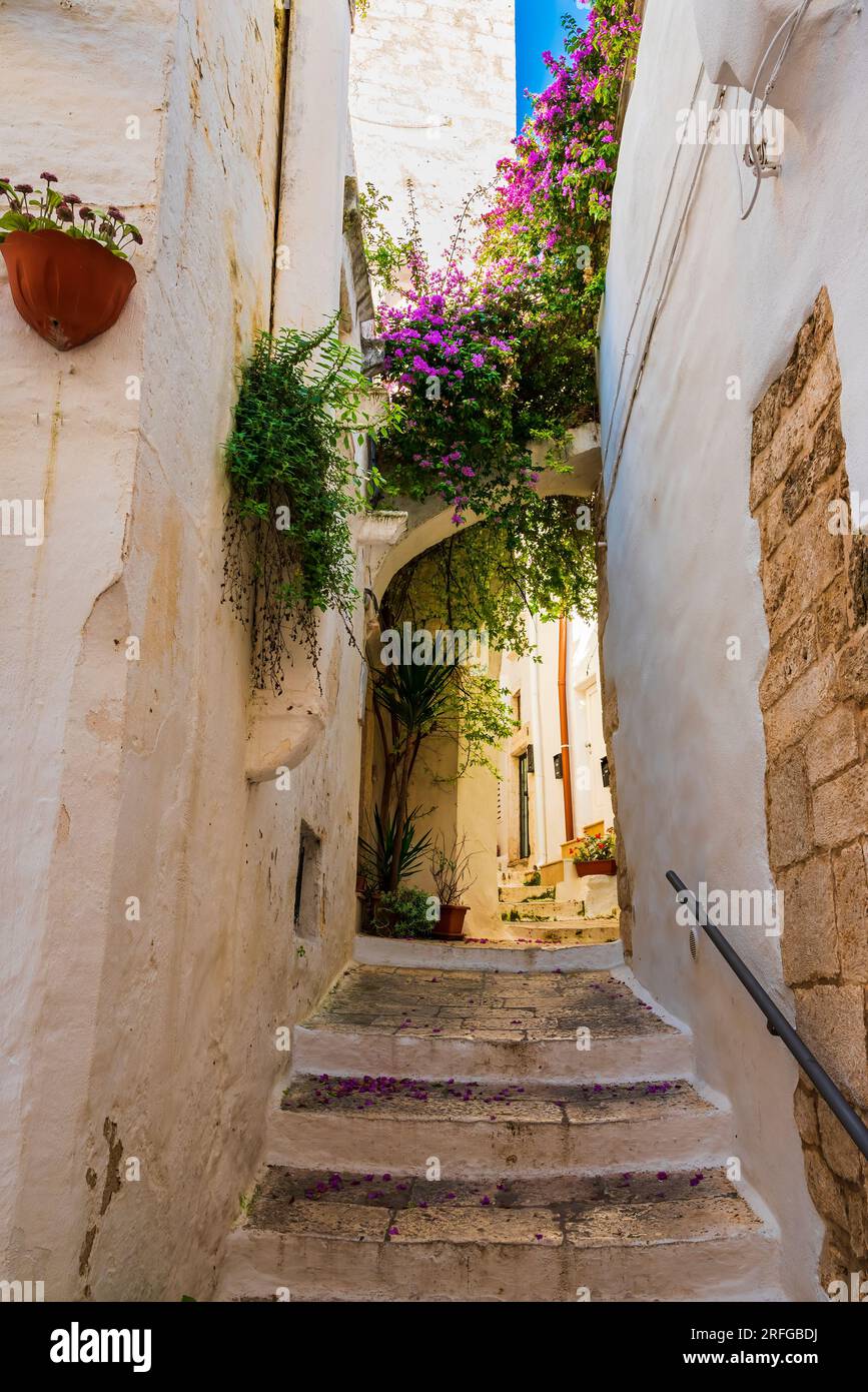Pretty flowers decorate the steps of an alley in Ostuni old town Stock ...