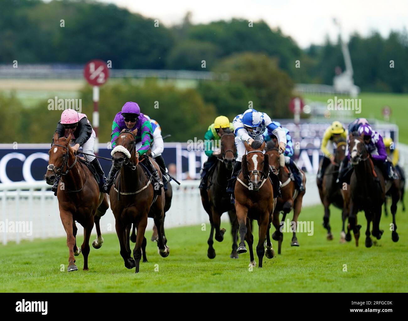 Novus racecourse hi-res stock photography and images - Alamy