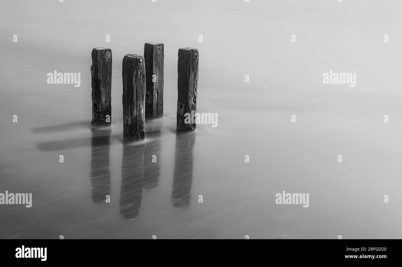 Black and white fine art image hi-res stock photography and images - Alamy
