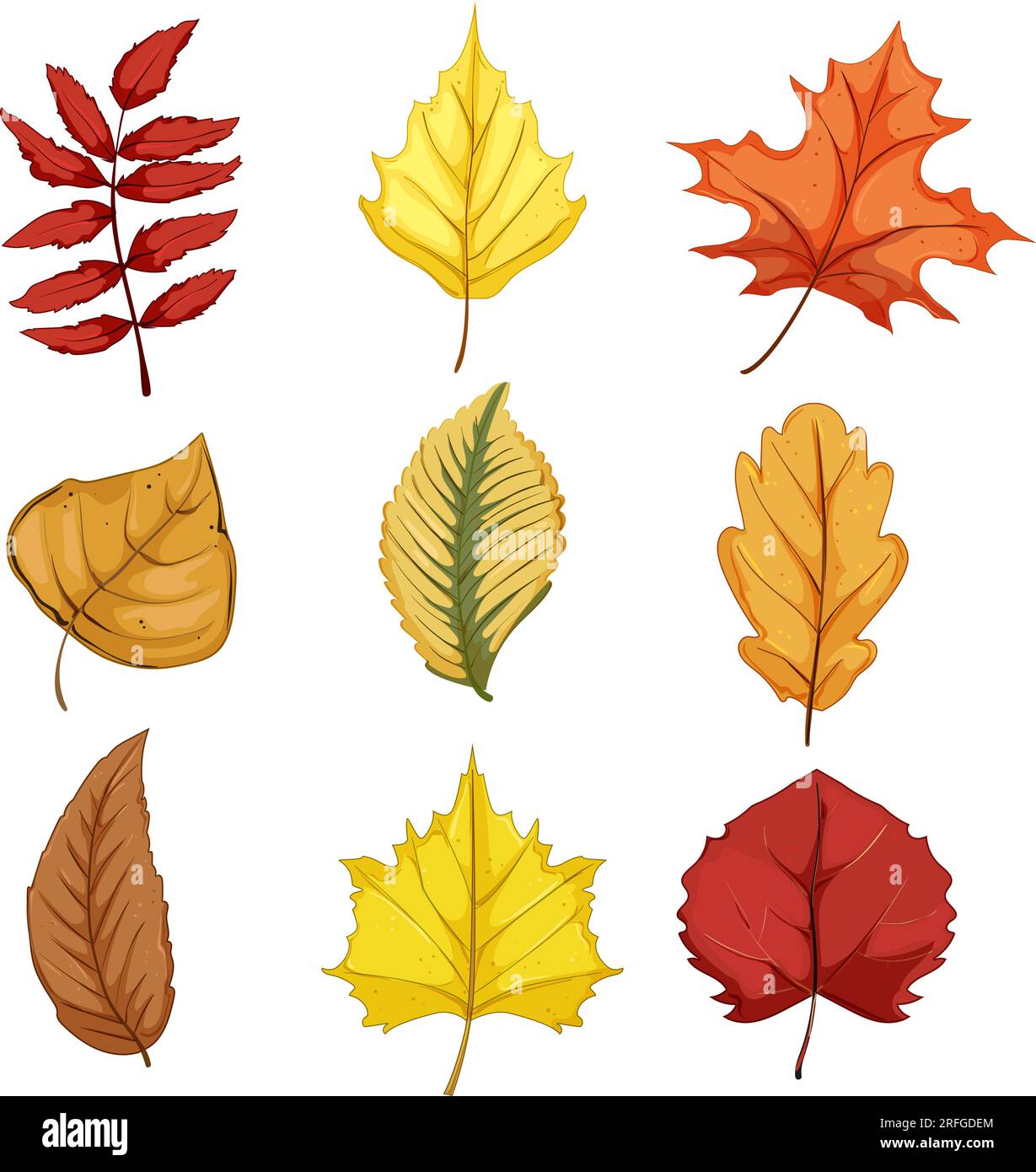autumn leaf set cartoon vector illustration Stock Vector Image & Art ...