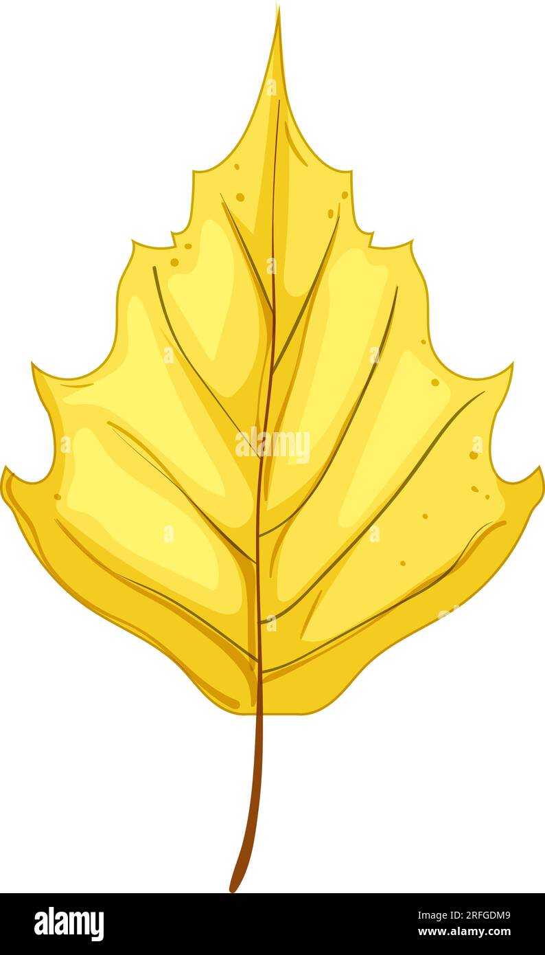 fall autumn leaf cartoon vector illustration Stock Vector Image & Art ...
