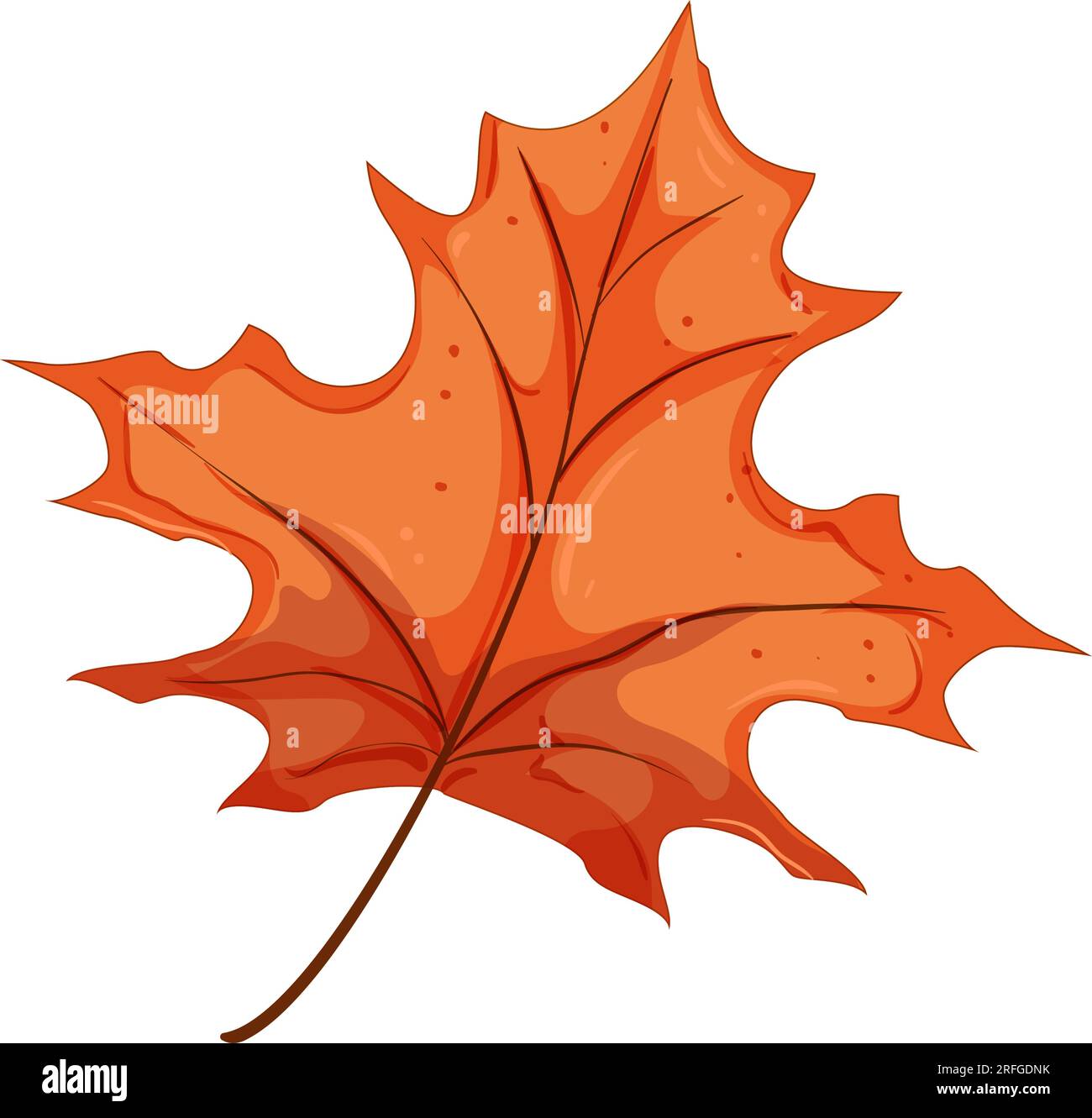 red autumn leaf cartoon vector illustration Stock Vector Image & Art ...