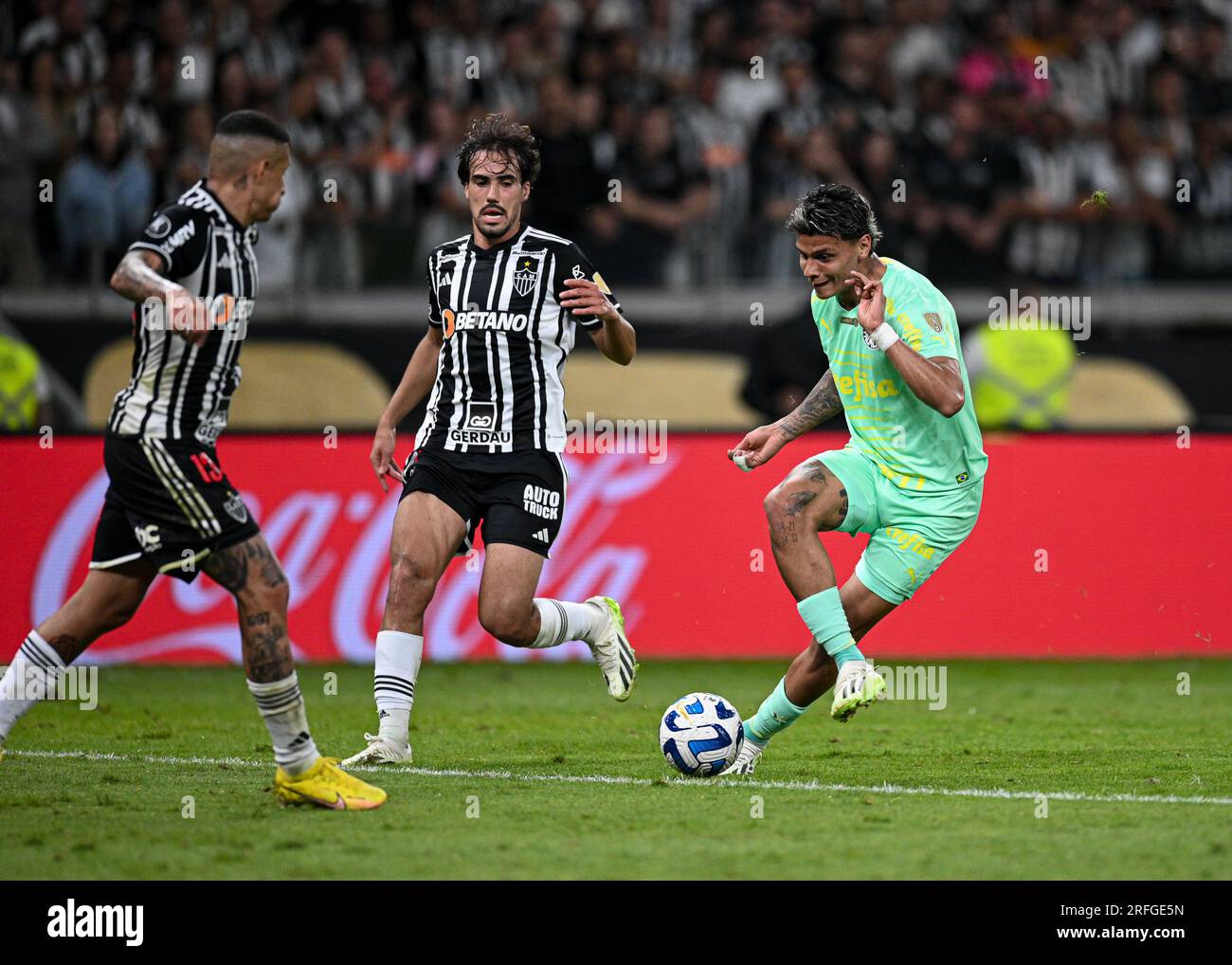 Richard rios palmeiras hi-res stock photography and images - Alamy