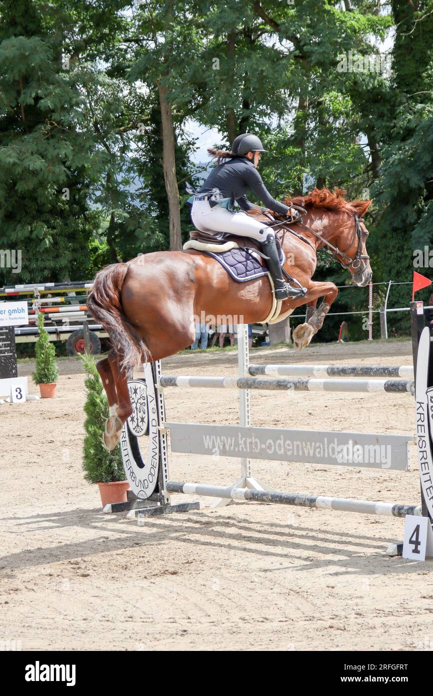rider cup germany, rodenstein Stock Photo - Alamy