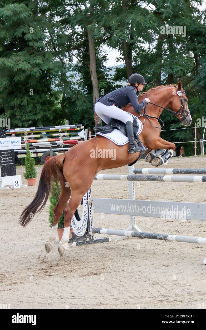 rider cup germany, rodenstein Stock Photo - Alamy