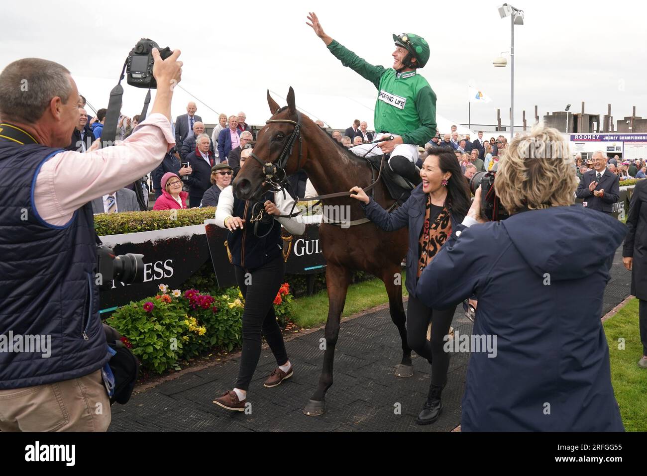 Zarak horse hi-res stock photography and images - Alamy