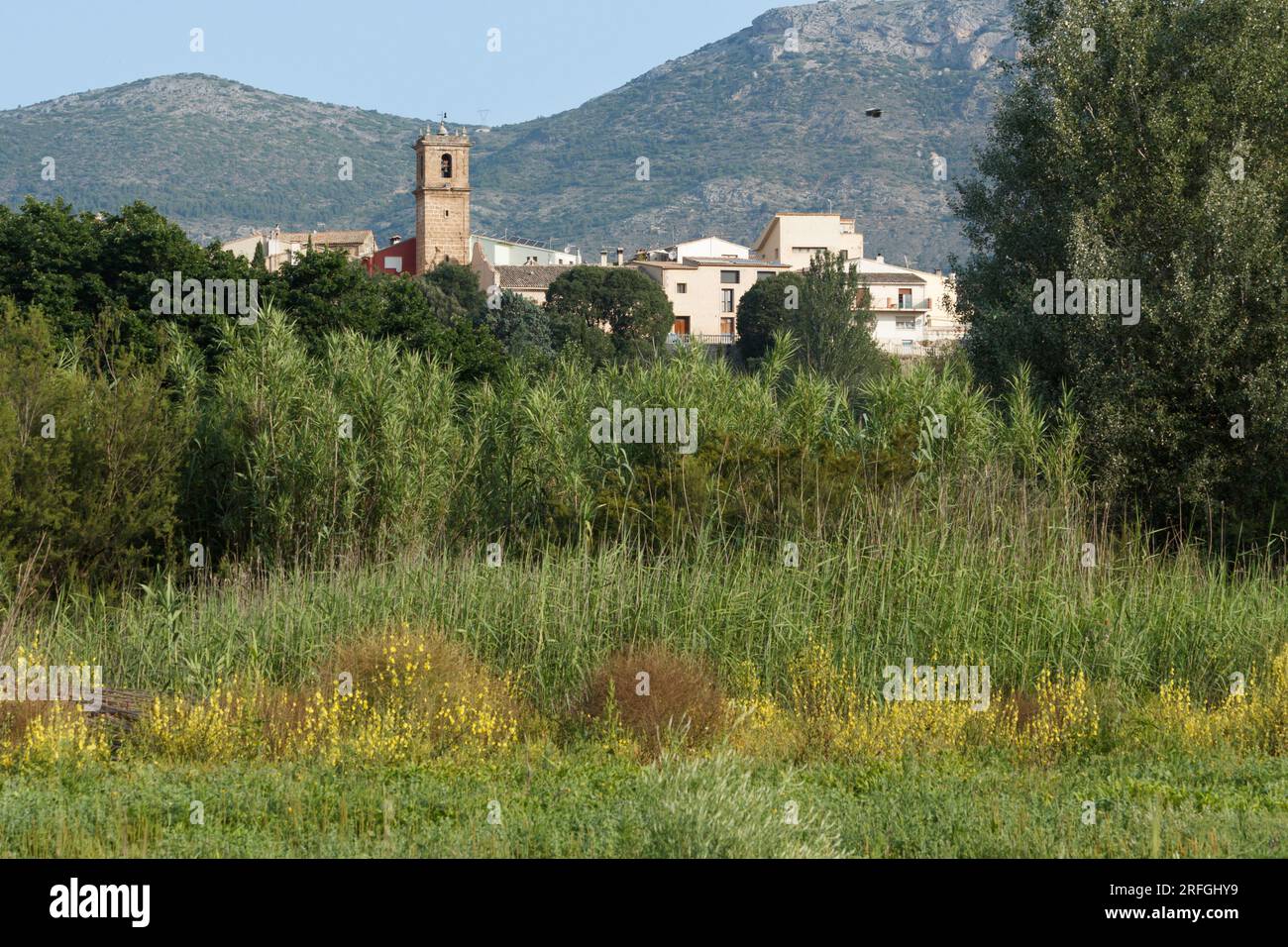 Landscape with the bell tower of Alcocer de Planes from the Serpis ...