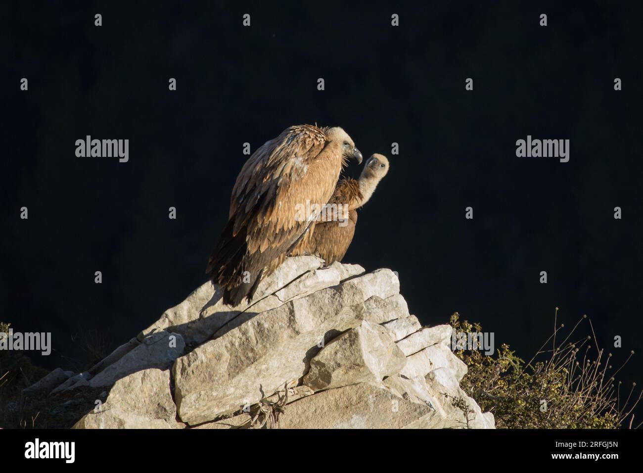 Barranc del cint hi-res stock photography and images - Alamy