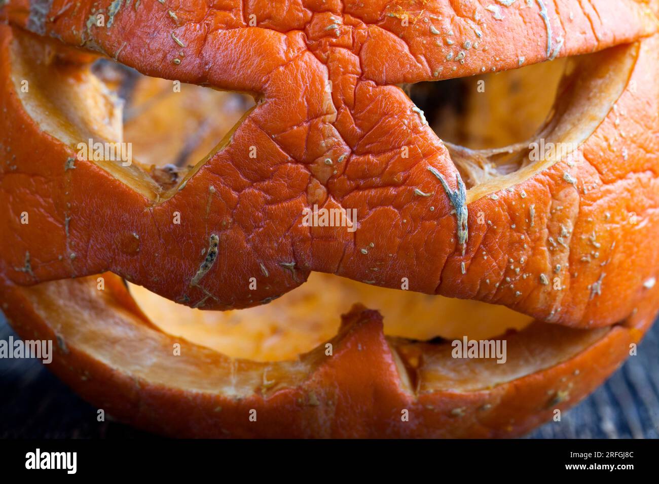 pumpkin for Halloween celebration covered with mold, scary and ugly ...