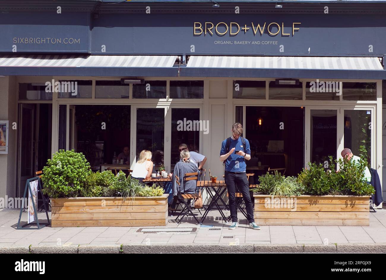 Brod wolf hi-res stock photography and images - Alamy