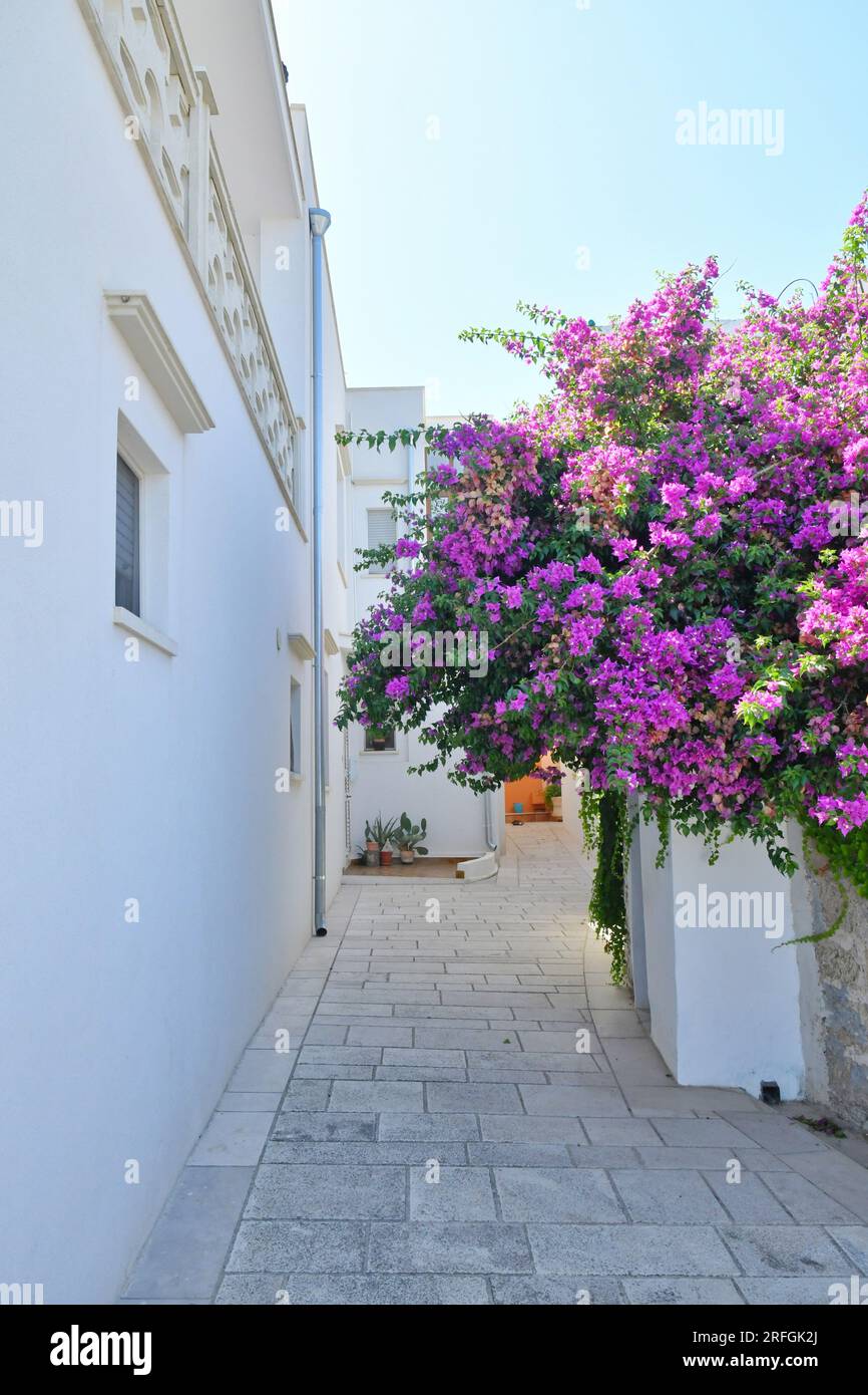 A characteristic alley of Castro, an old village in the province in ...