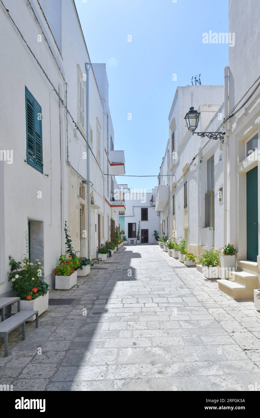 A characteristic alley of Castro, an old village in the province in ...