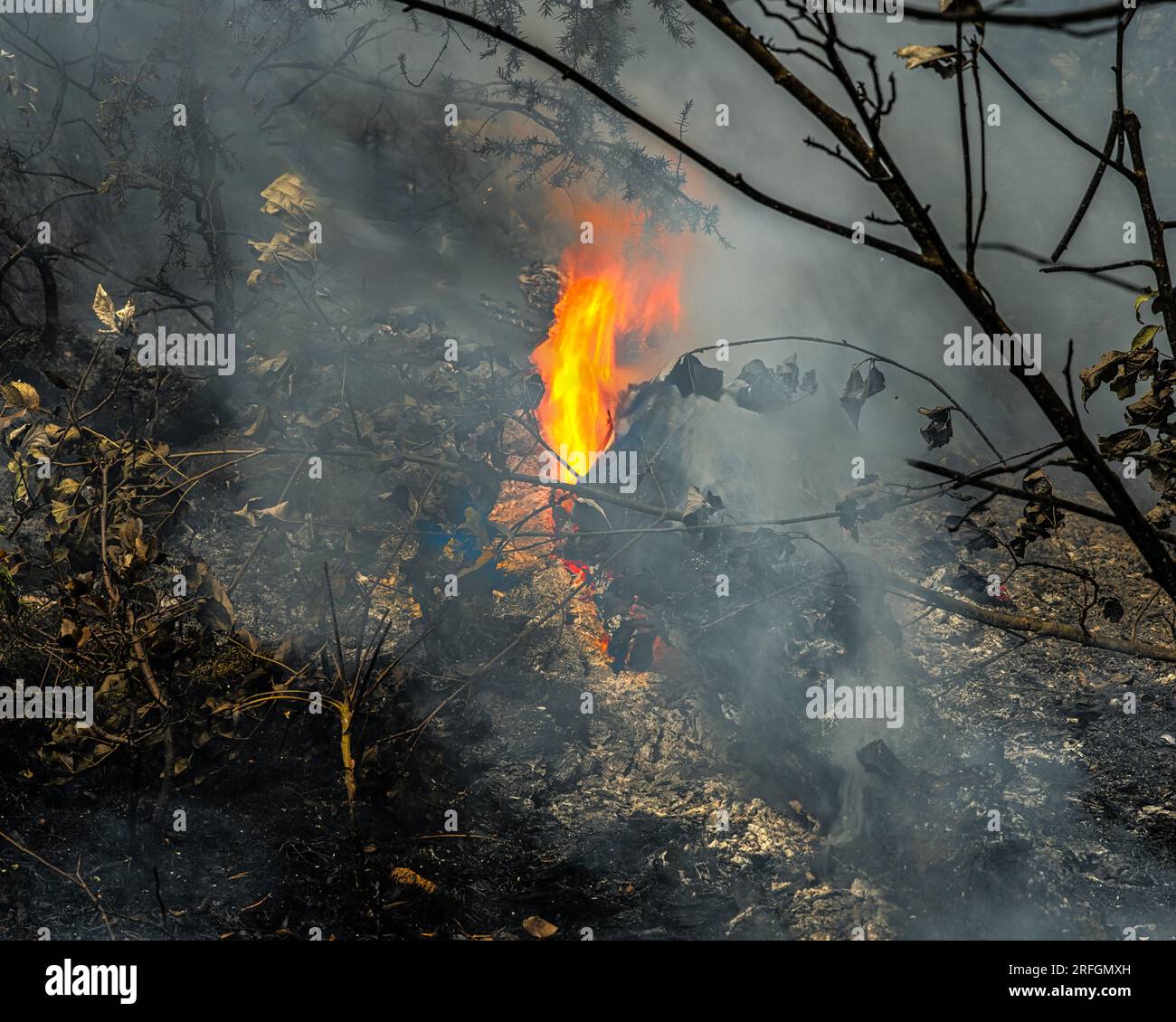 Burn in hell hi-res stock photography and images - Alamy